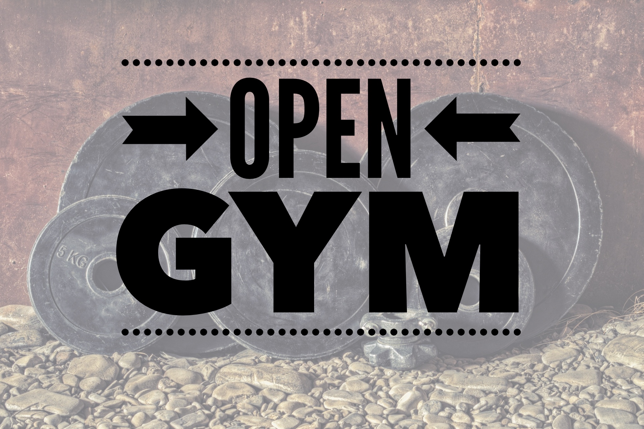 Coaching/Training – OPTIMIZING HUMAN PERFORMANCE & RESILIENCE: IRON ...